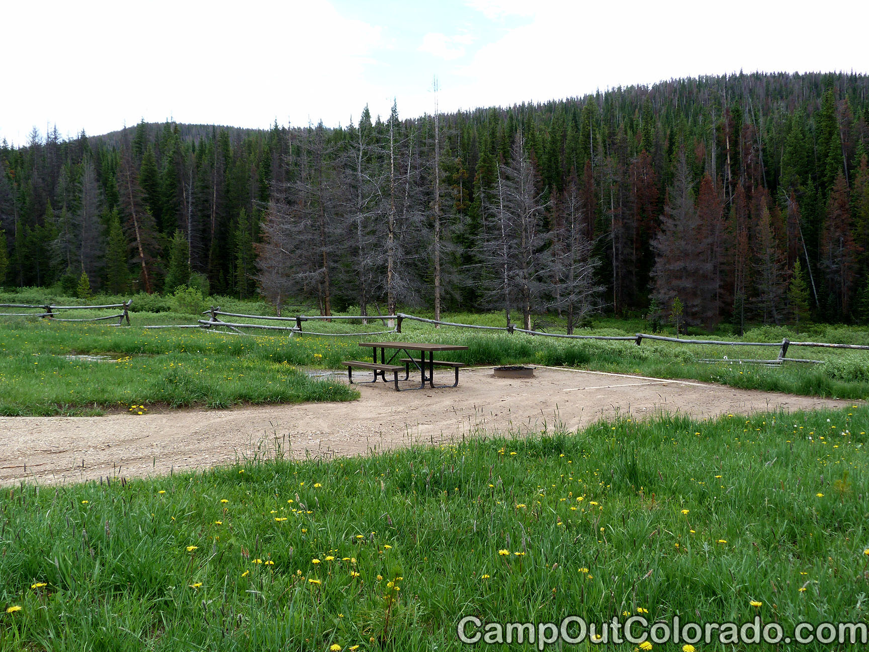 Bockman Campground State Forest State Park Camping Review