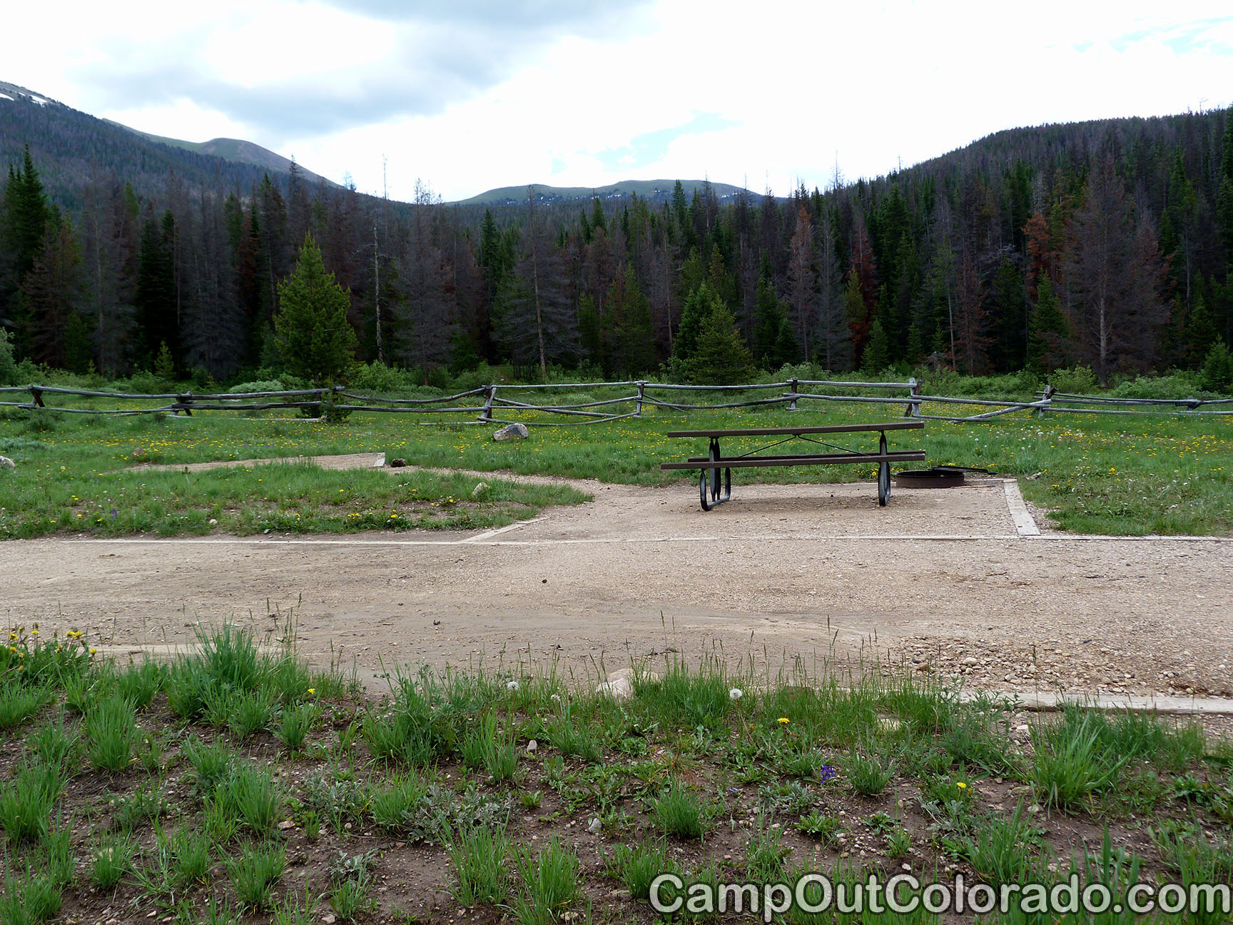 Bockman Campground State Forest State Park Camping Review
