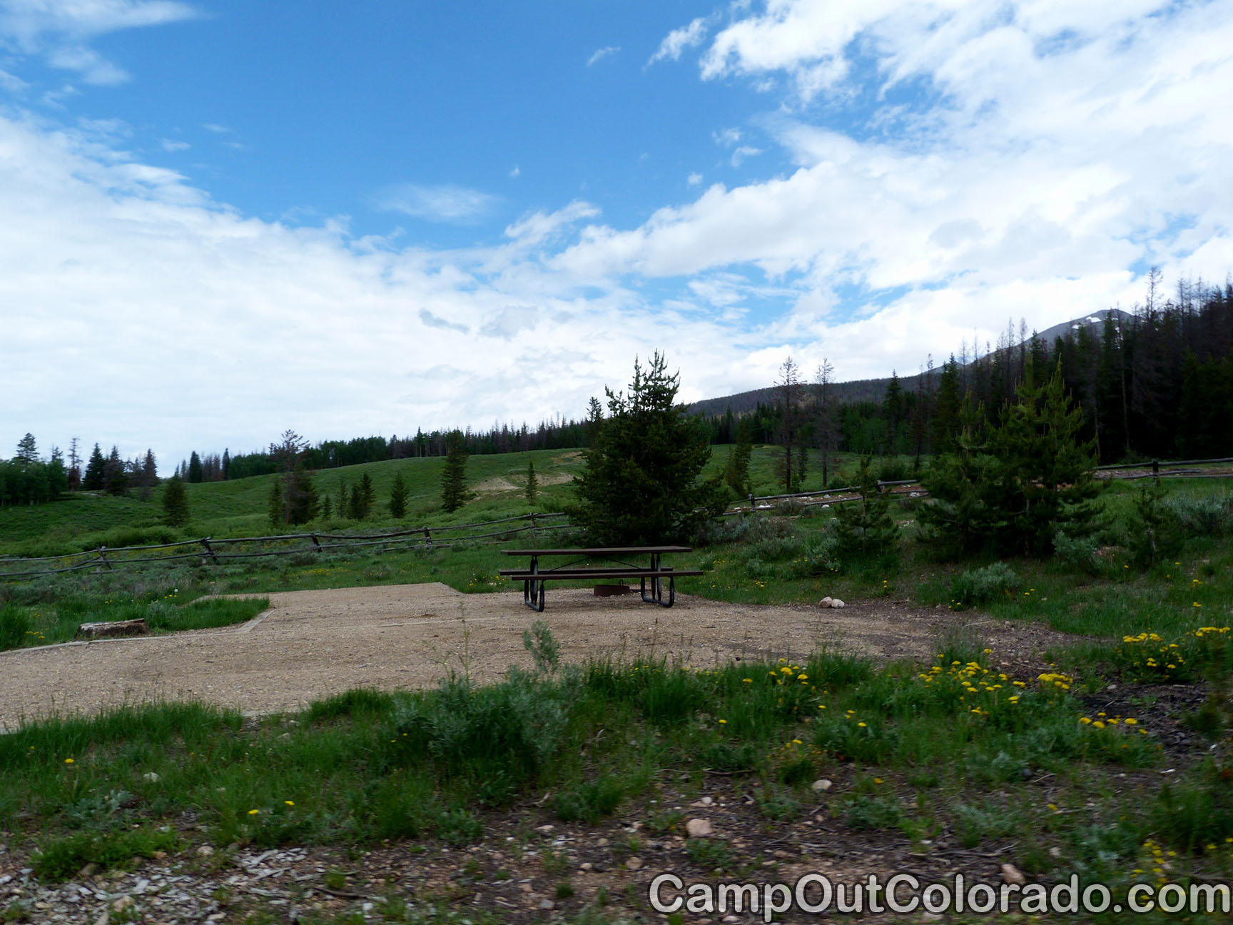 Bockman Campground State Forest State Park Camping Review