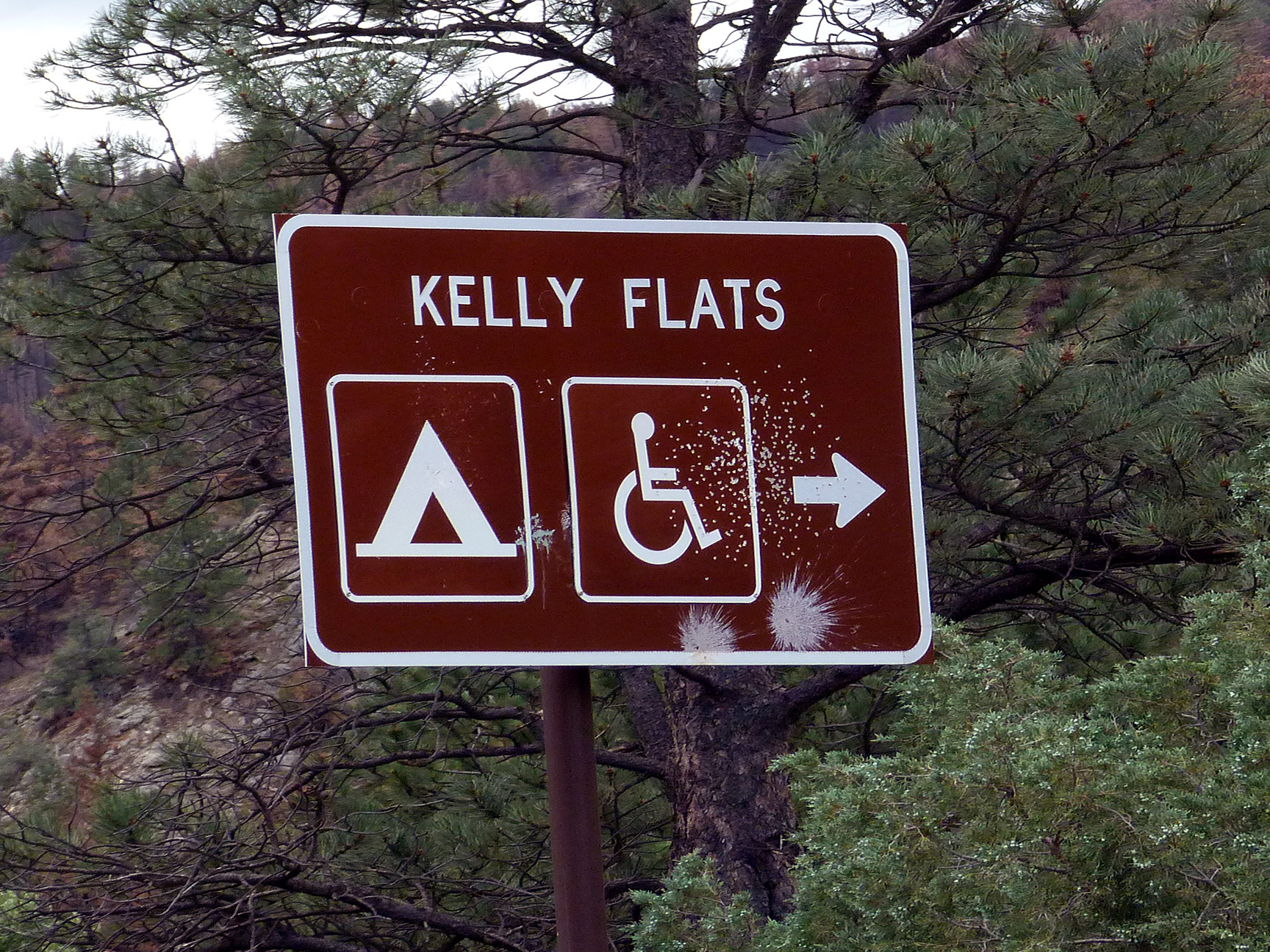 Kelly Flats Campground - Camp Out Colorado