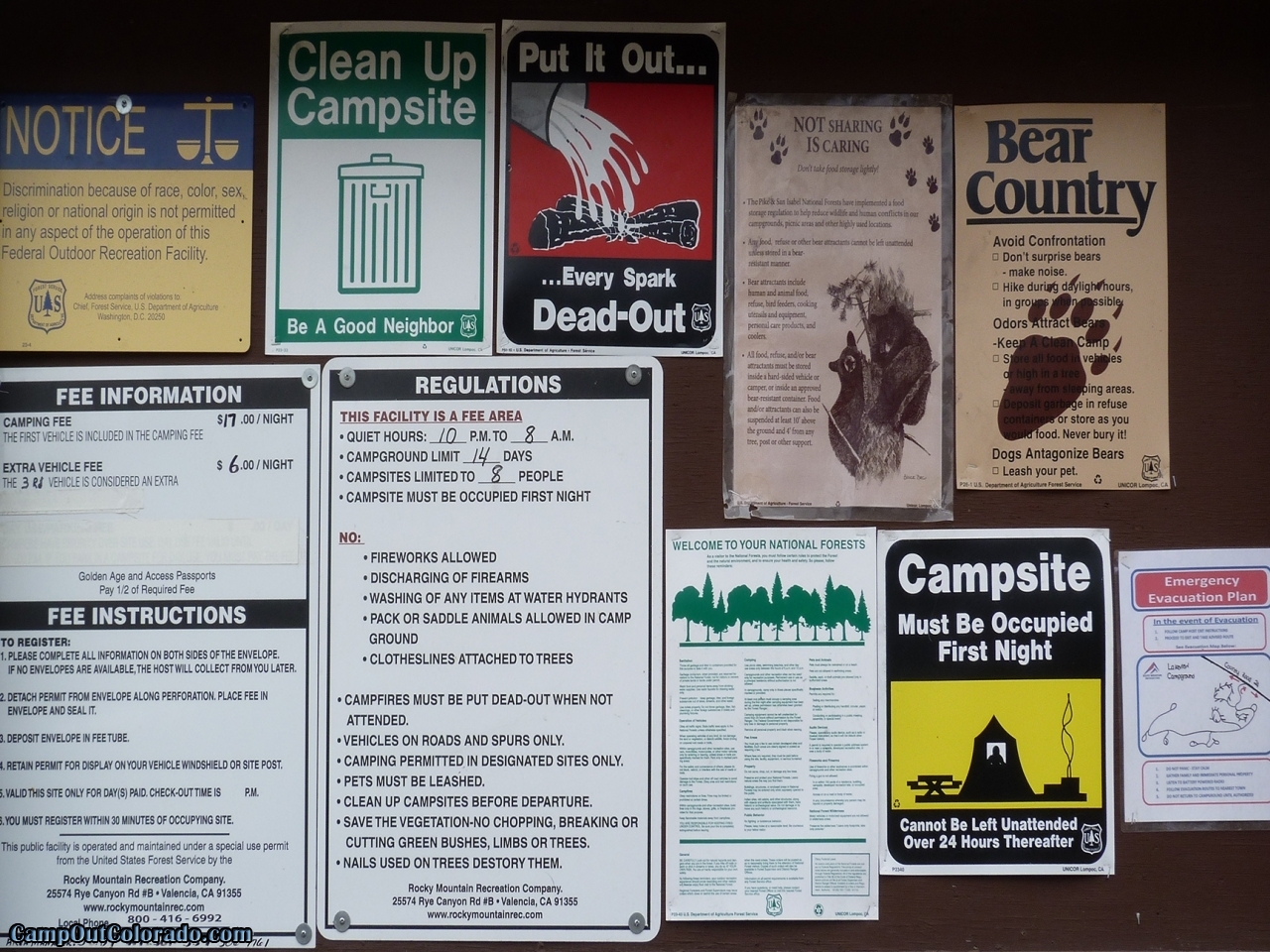 Lakeview Campground Camping Review - Camp Out Colorado