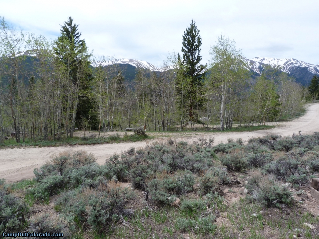 Lakeview Campground Camping Review - Camp Out Colorado