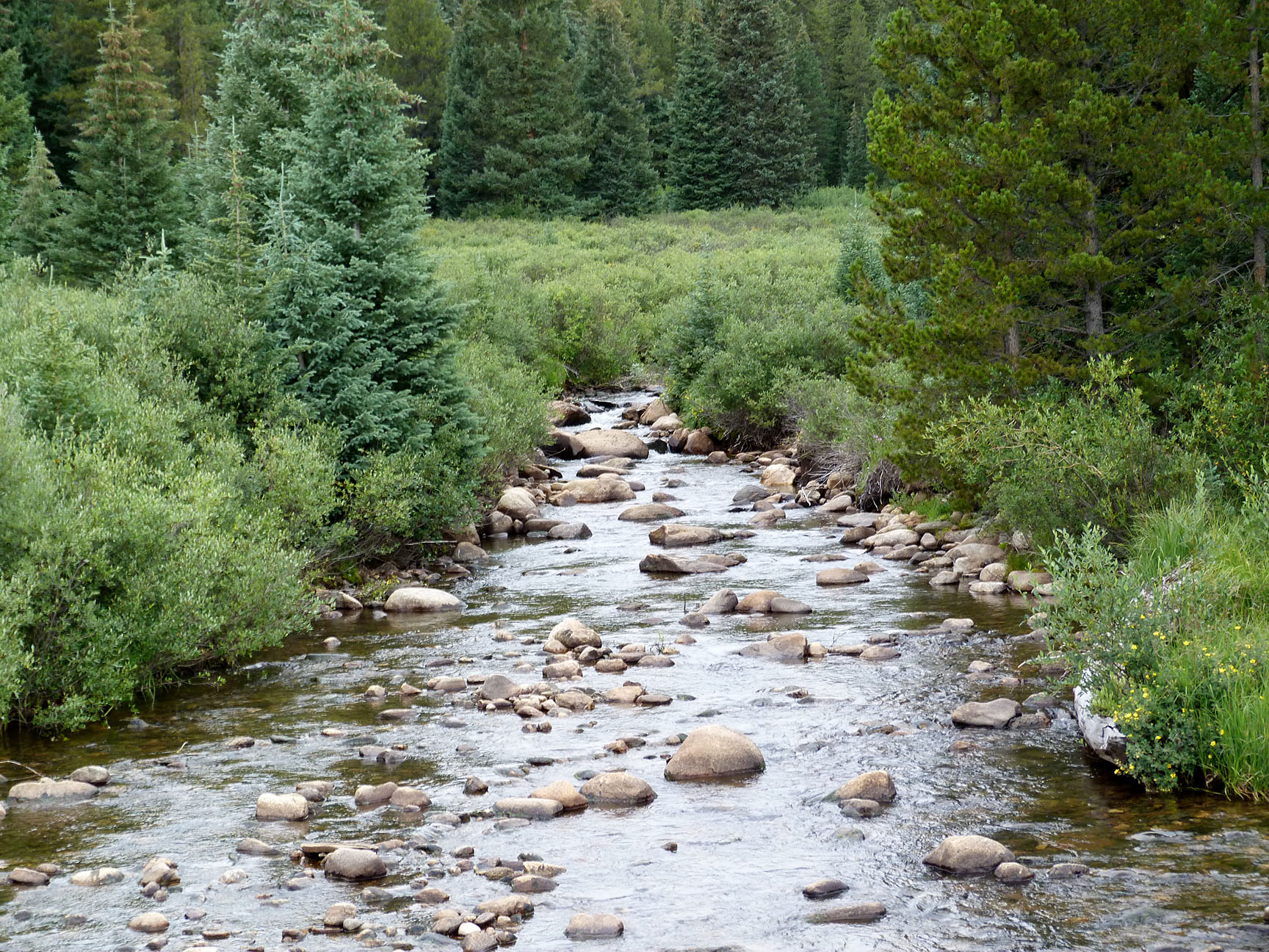 Camp-out-colorado-may-queen-turquoise-lake-river - Camp Out Colorado
