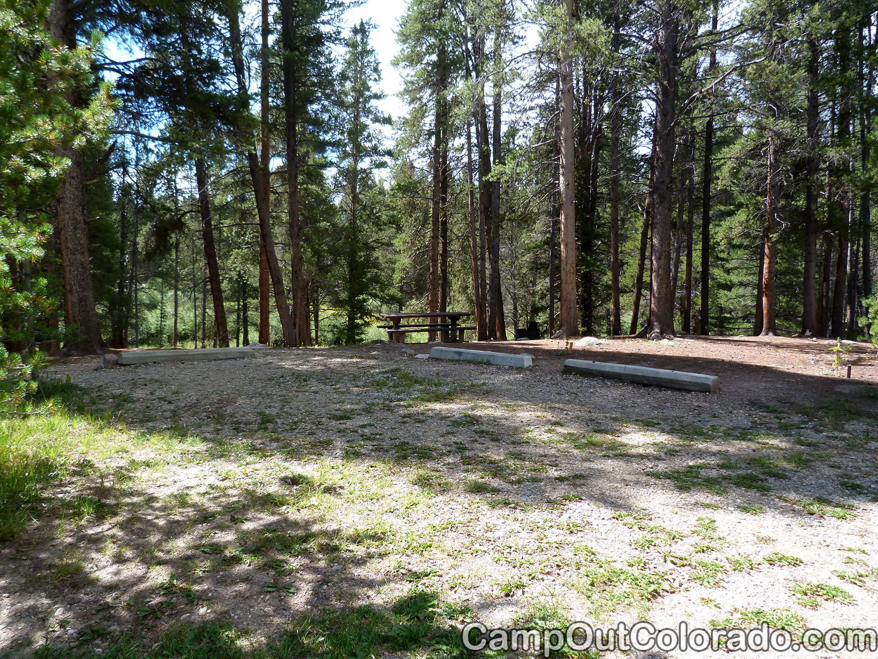 Silver Dollar Campground Camping Review - Camp Out Colorado