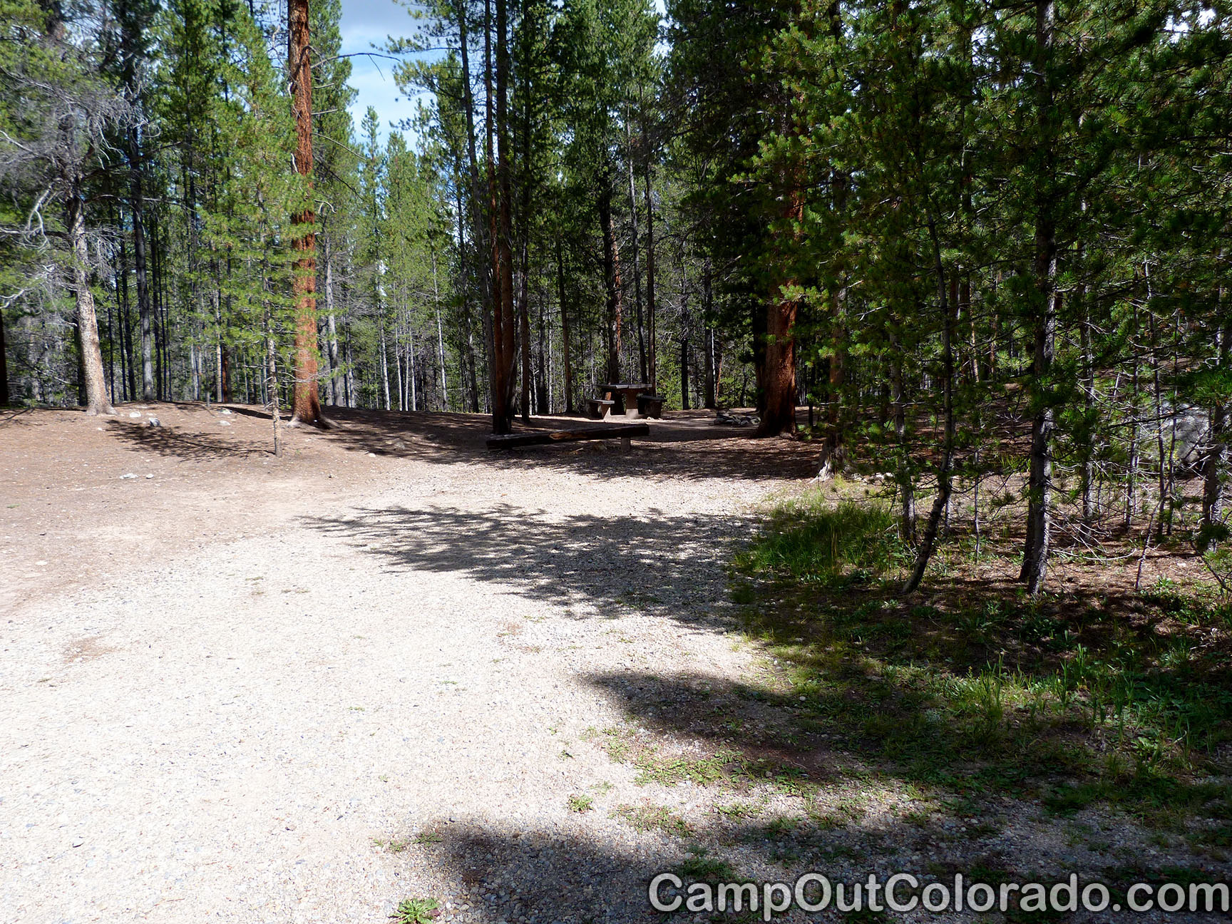 Silver Dollar Campground Camping Review - Camp Out Colorado