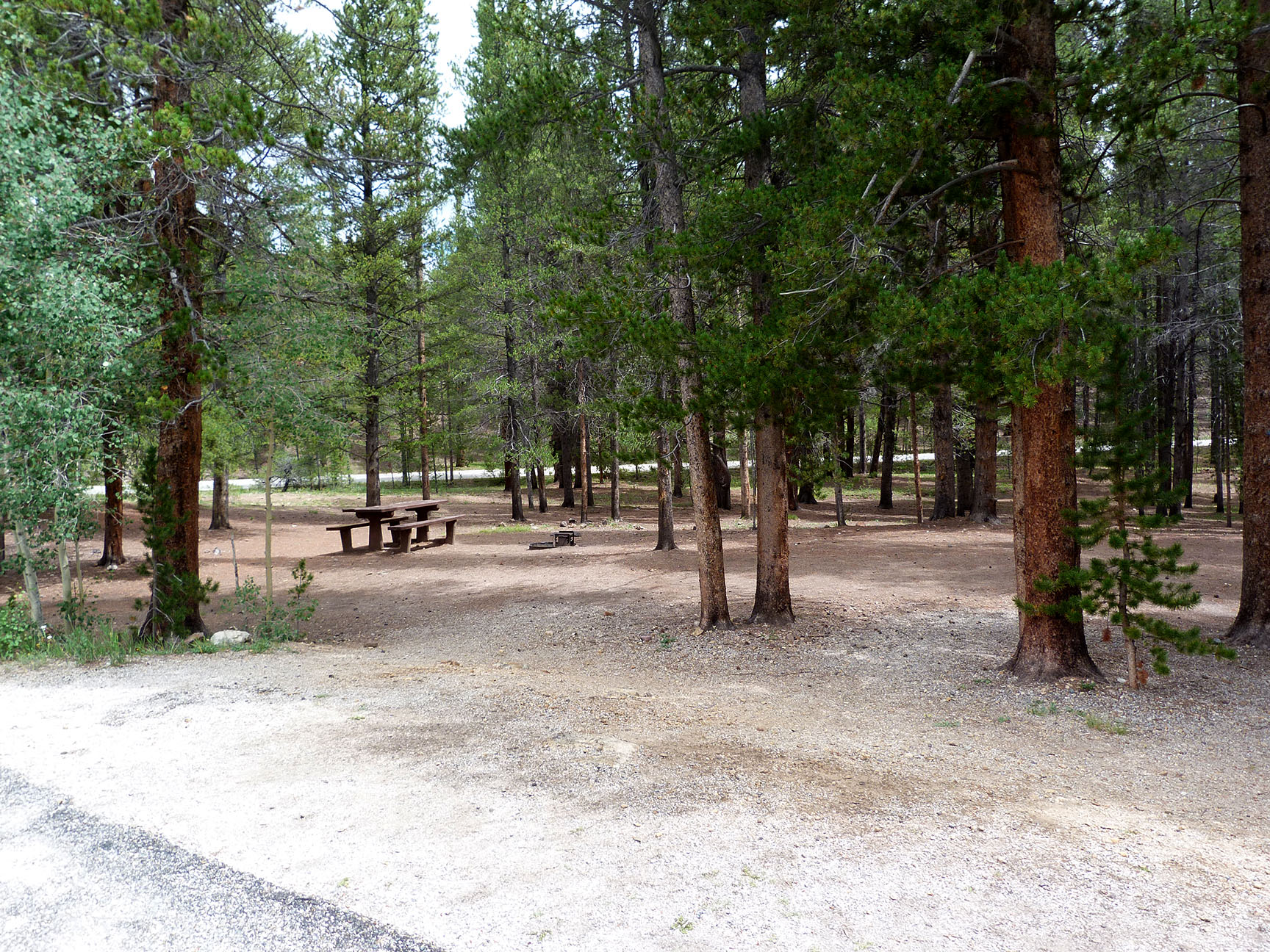 Tabor Campground - Camp Out Colorado