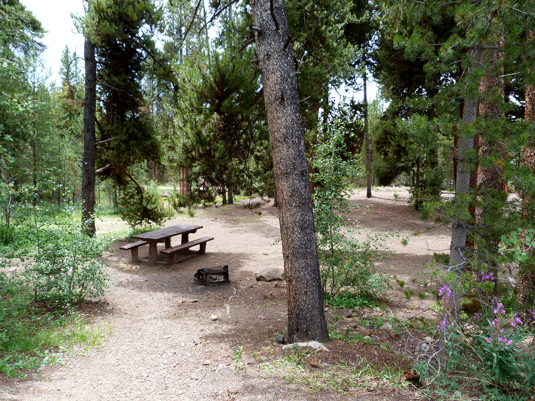 Tabor Campground - Camp Out Colorado