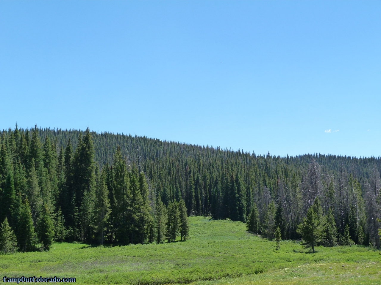 Meadows Campground Camping Review Rabbit Ears Pass