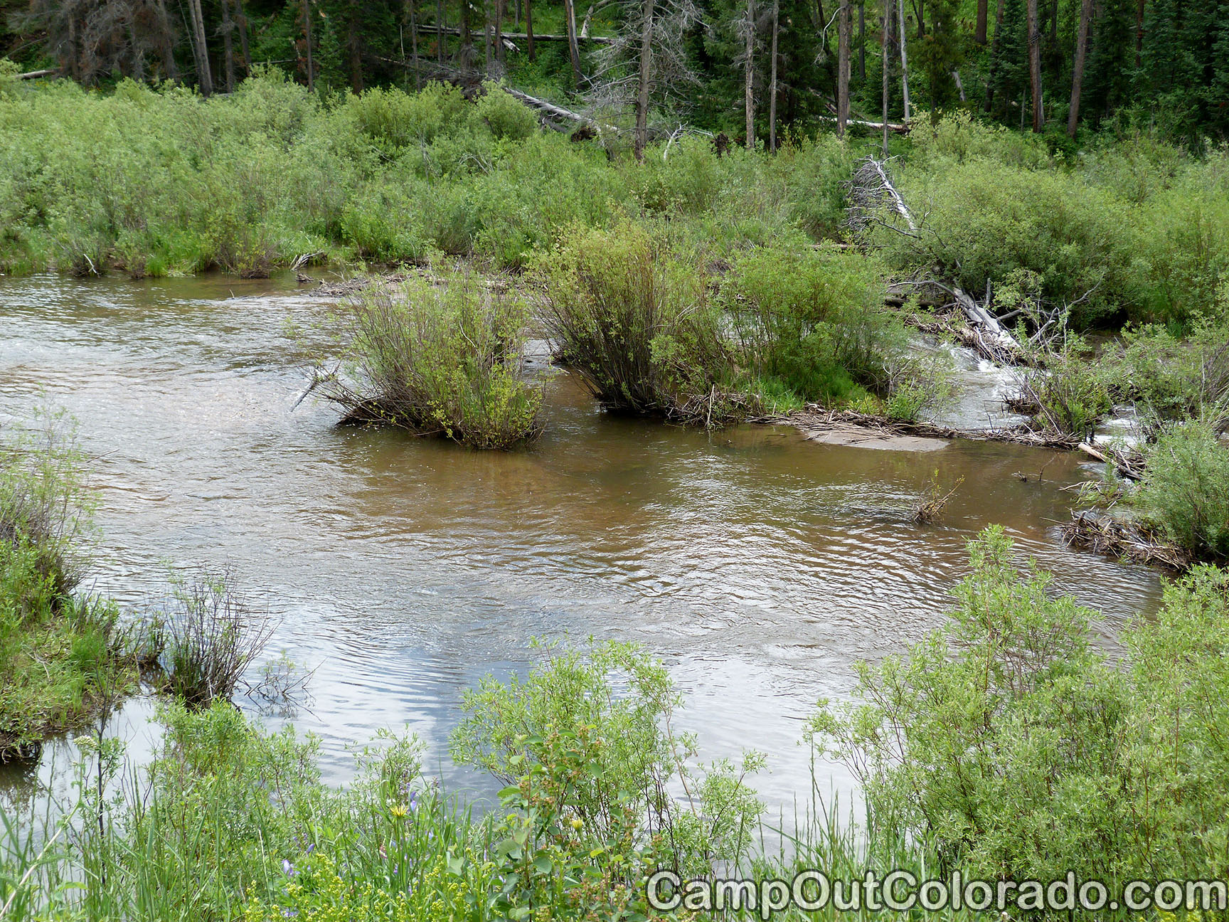 Campoutcolorado-north-michigan-reservoir-campground-beaver-pond - Camp ...