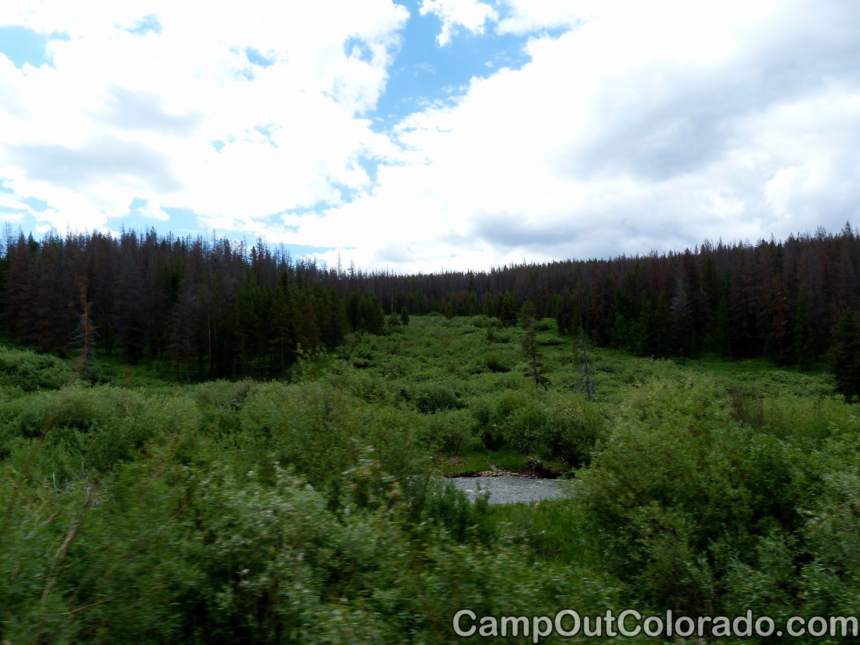 North Michigan Reservoir Campground State Forest State Park - Camp Out ...