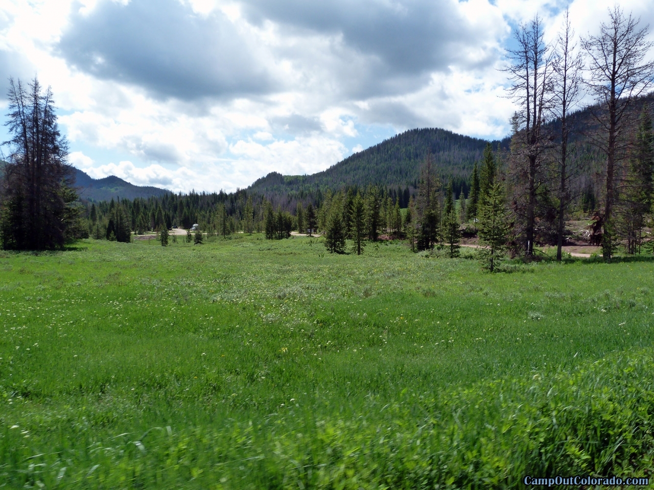 hahns-peak-lake-campground-meadow - Camp Out Colorado