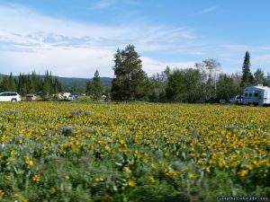 Steamboat Lake State Park - Camp Out Colorado